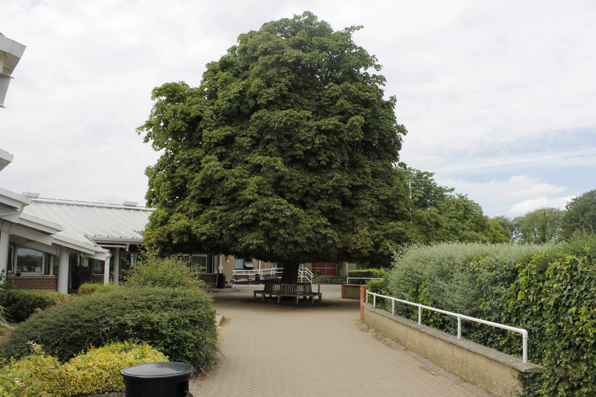 Admissions | Kings School